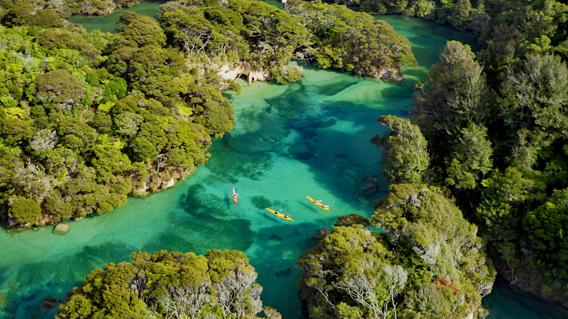 Kahu Kayaks - Family Parks